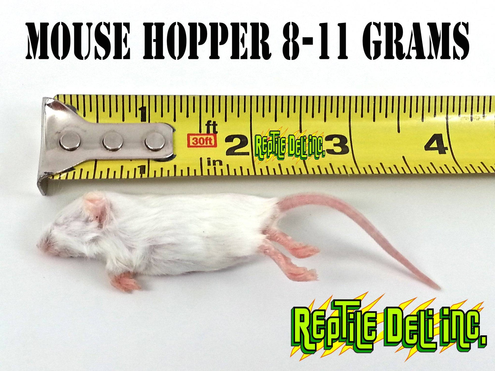 Frozen Mouse - Hopper | Reptile Deli Inc.